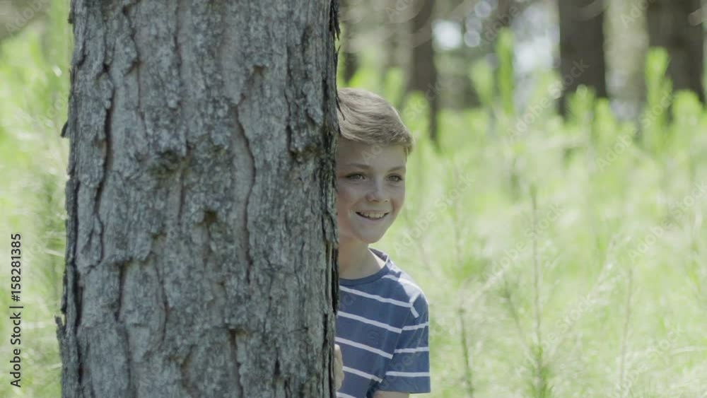 Boy peeking around tree trunk Stock Video | Adobe Stock