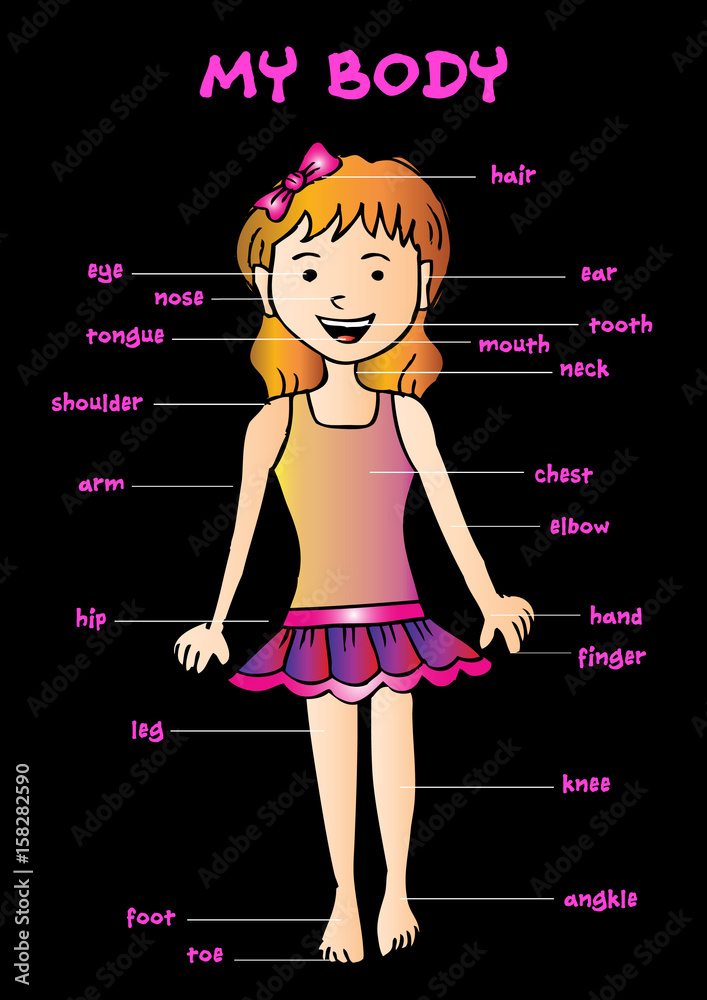 My body", educational info graphic chart for kids showing parts of ...