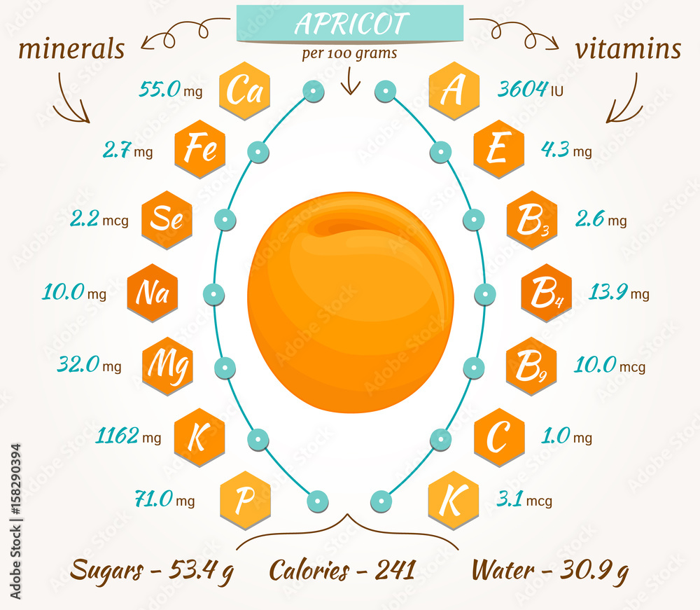 Vecteur Stock Pear infographics, nutrition facts, calories and analysis ...