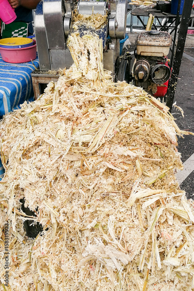 Sugarcane bagasse can be recycled as paper, fuel, renewable energy ...