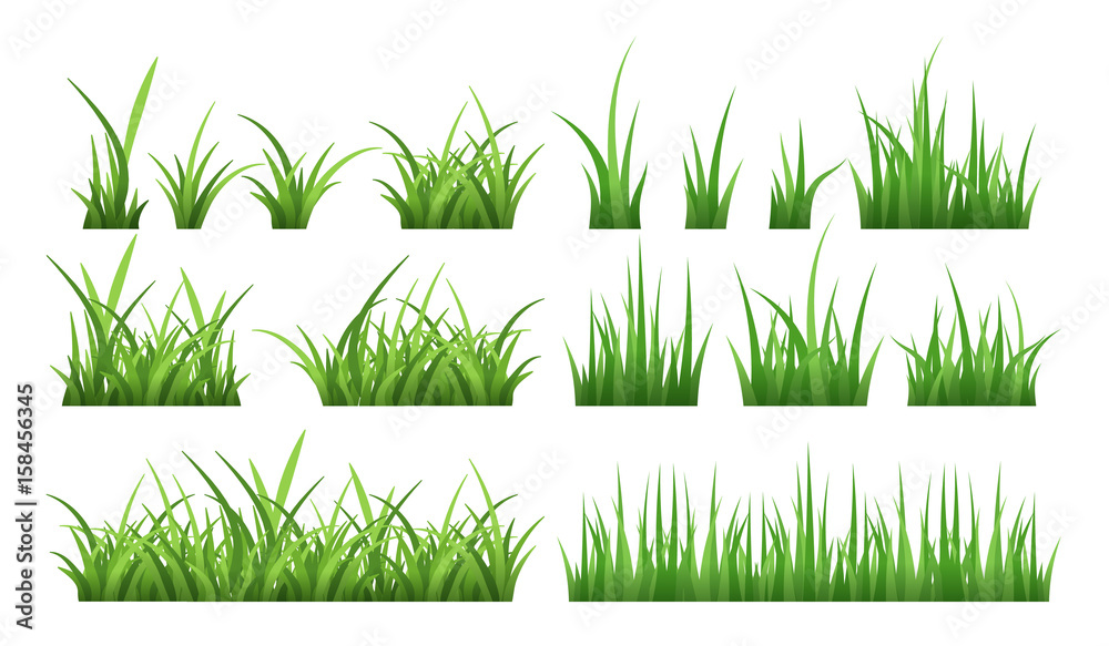 Nature illustrations of green field grass. Vector set isolate on white ...