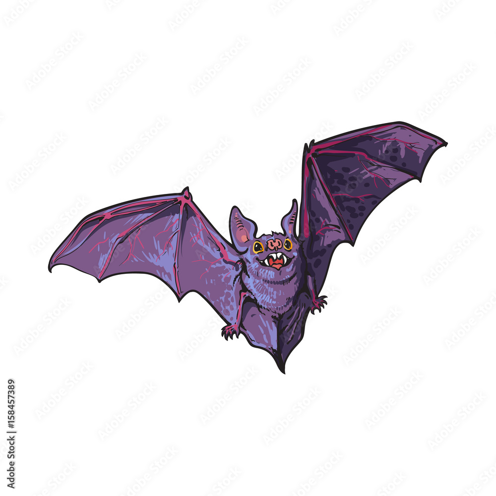 Scary flying Halloween vampire bat, sketch style vector illustration ...