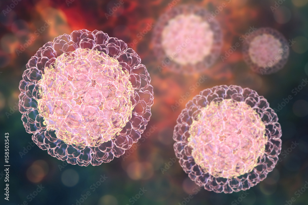 Rotaviruses. Molecular model of a rotavirus which causes diarrheal ...
