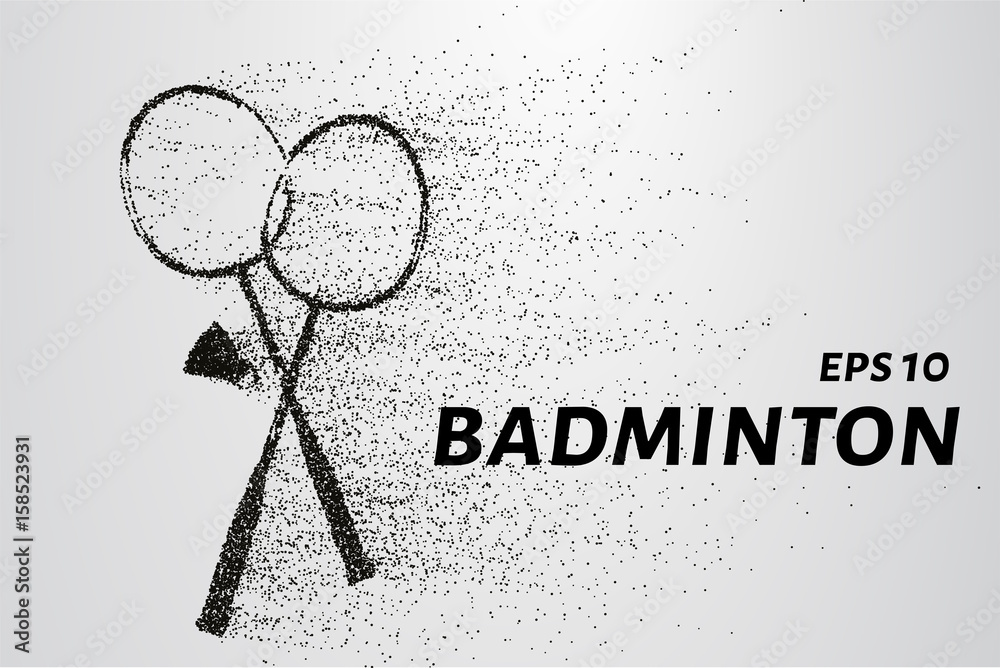 Badminton of particles. Badminton consists of small circles and dots ...