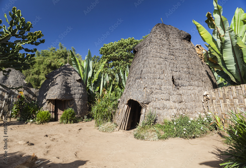 Elephant head like traditional Dorze houses. Hayzo village, Omo Valley ...