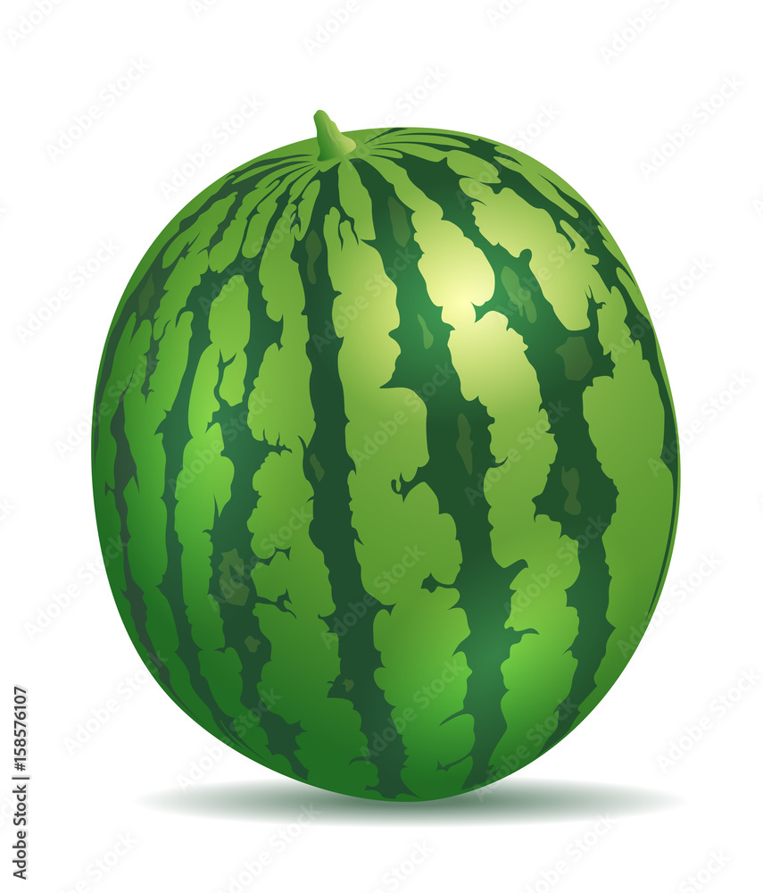 Pretend Play Toys & Games 3D Watermelon Toys etna.com.pe