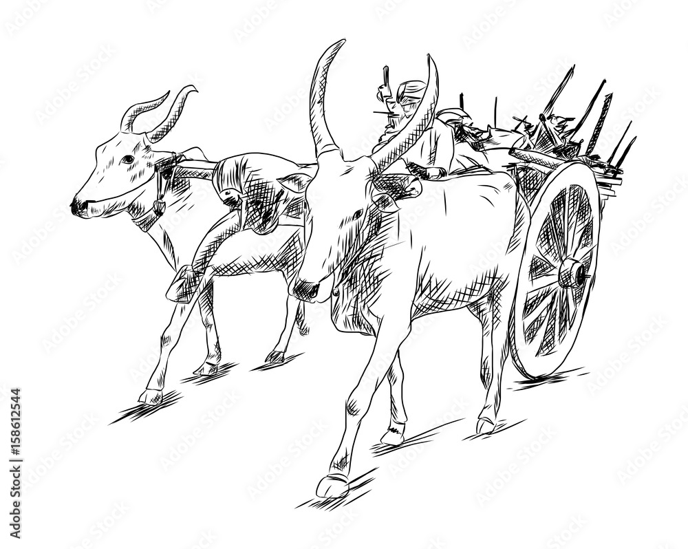 Hand drawn sketch of Bullock cart in vector sketch. Stock Vector ...