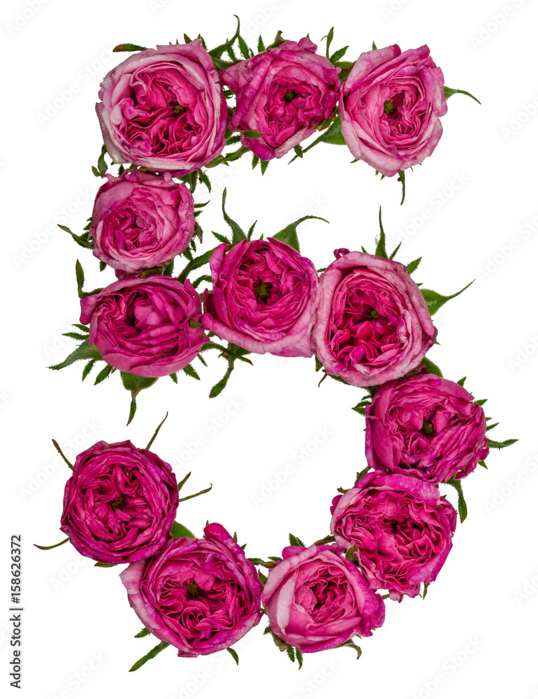Arabic numeral 5, five, from red flowers of rose, isolated on white ...