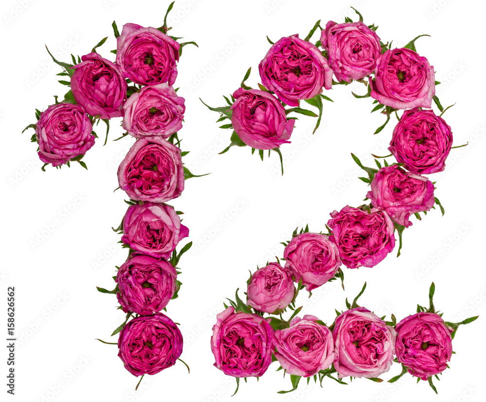 Arabic numeral 12, twelve, from red flowers of rose, isolated on white ...
