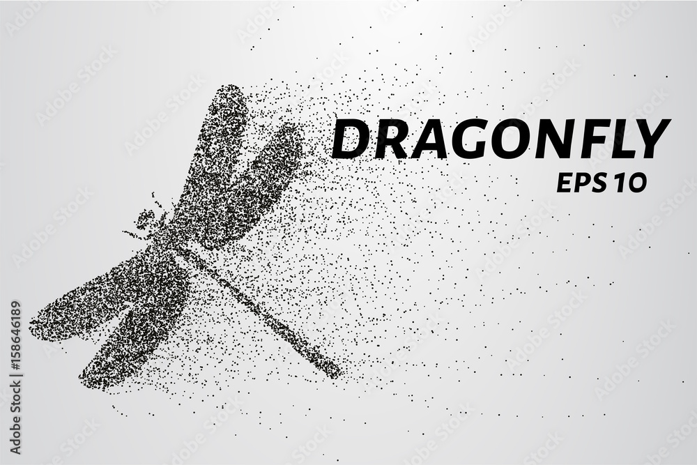 Dragonfly of the particles. Dragonfly consists of circles and points ...
