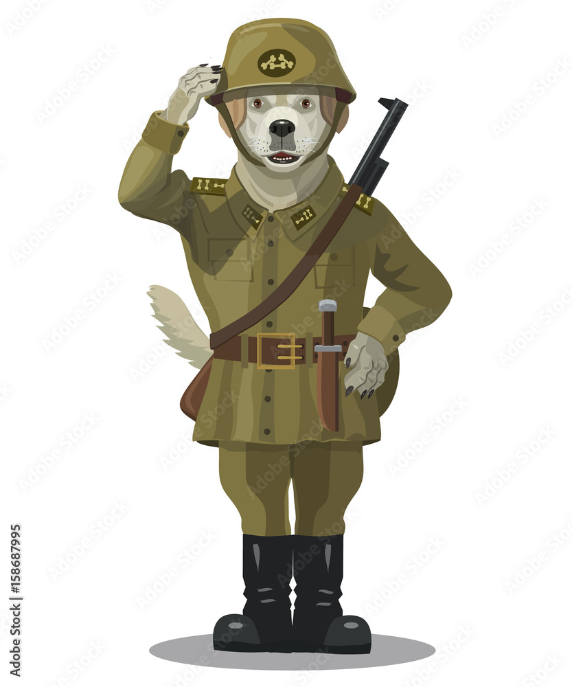Soldier dog Labrador/ Soldier dog is a Labrador, the team performs a ...