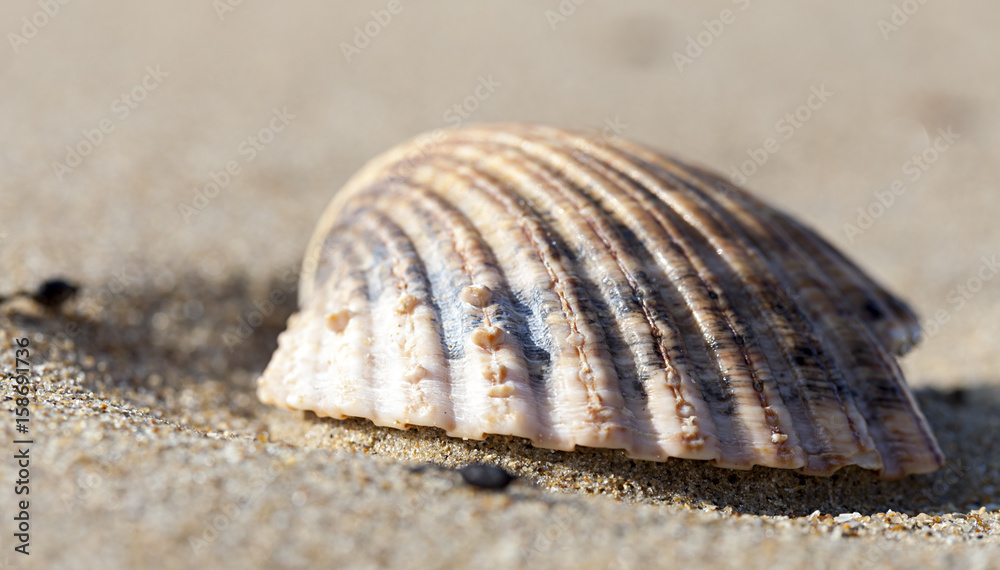 Death textures Stock Photo | Adobe Stock