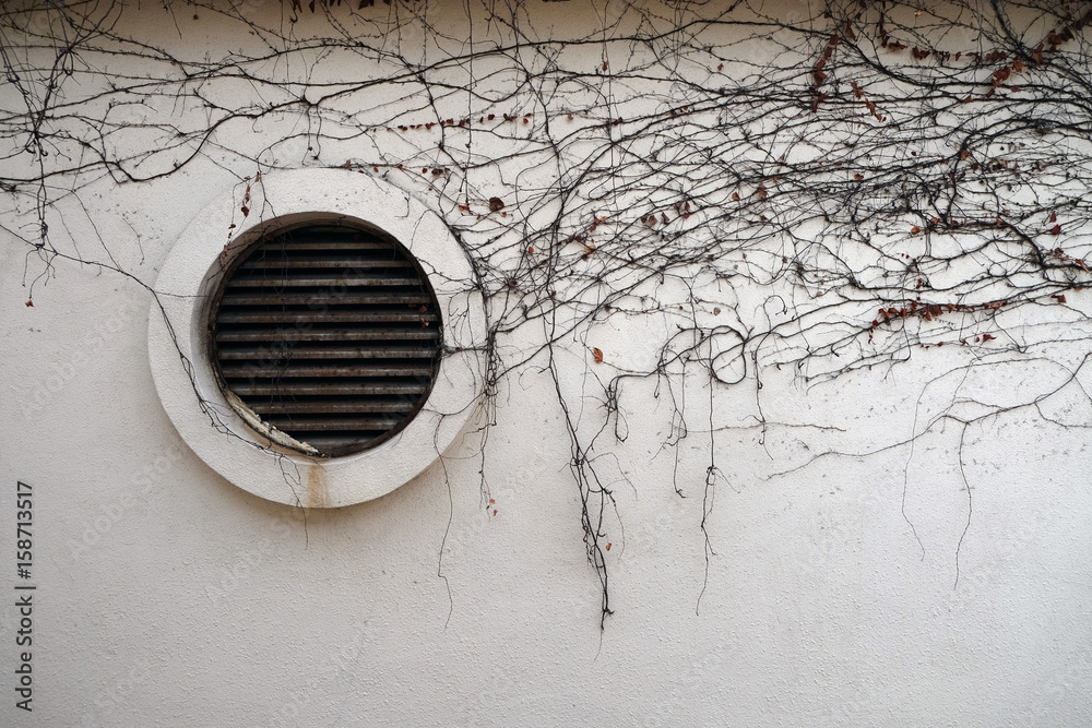 Round grille window with root of tree covered on a wall Stock Photo ...