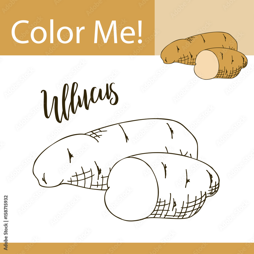 Education coloring page with vegetable. Hand drawn vector illustration ...