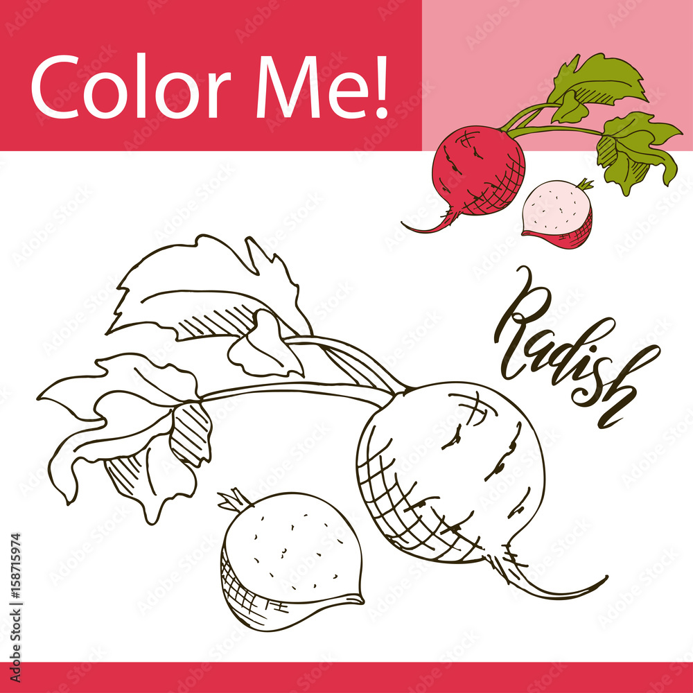 Radish Coloring Page