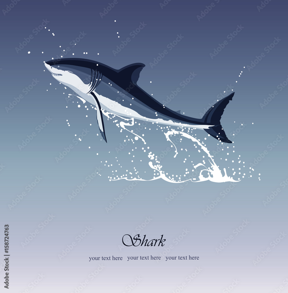 Sea background with jumping out of the water shark, vector illustration ...