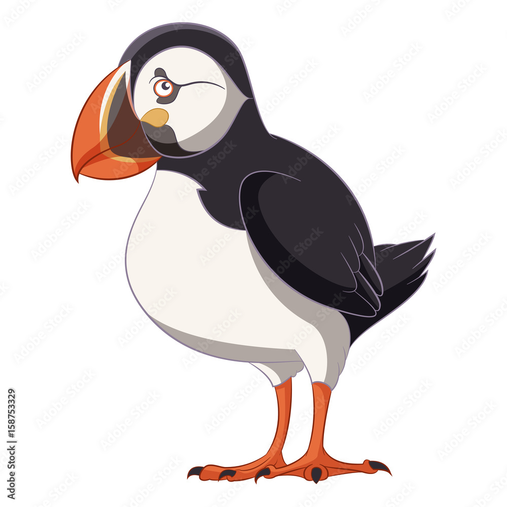 Cartoon smiling Puffin Stock Vector | Adobe Stock