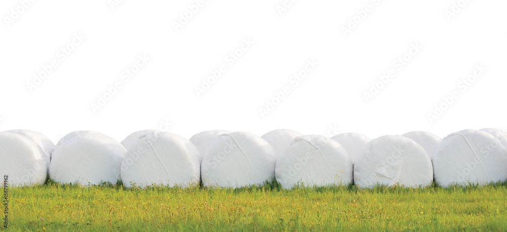 Wrapped stacked silage bales row isolated round white plastic film hay ...