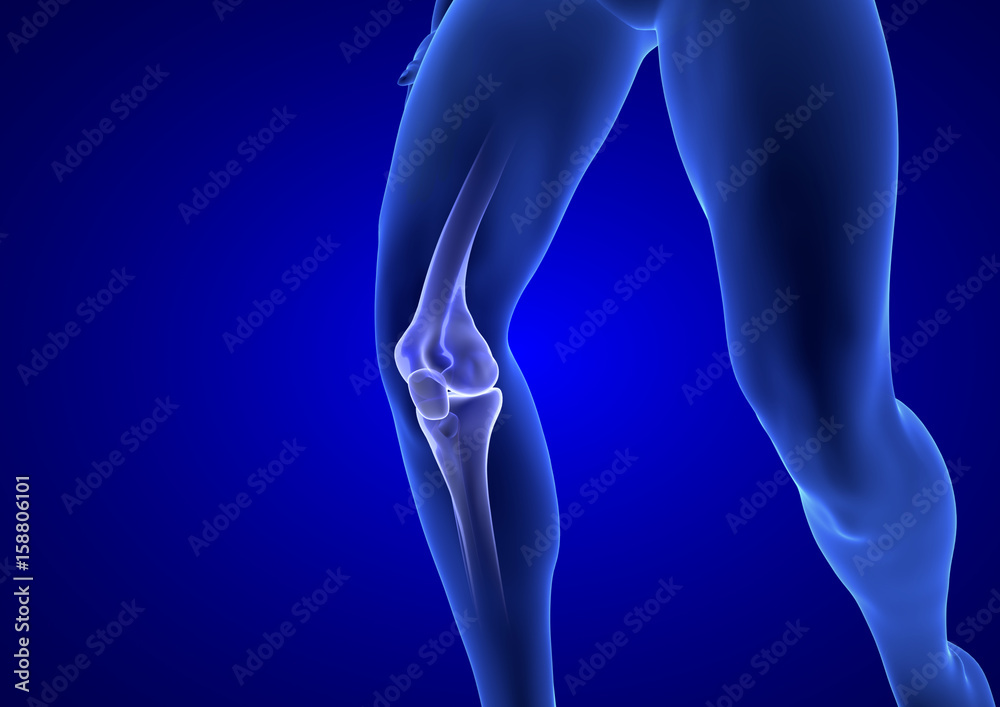 Knee Pain. Blue Human Anatomy Body 3D render on blue background Stock ...