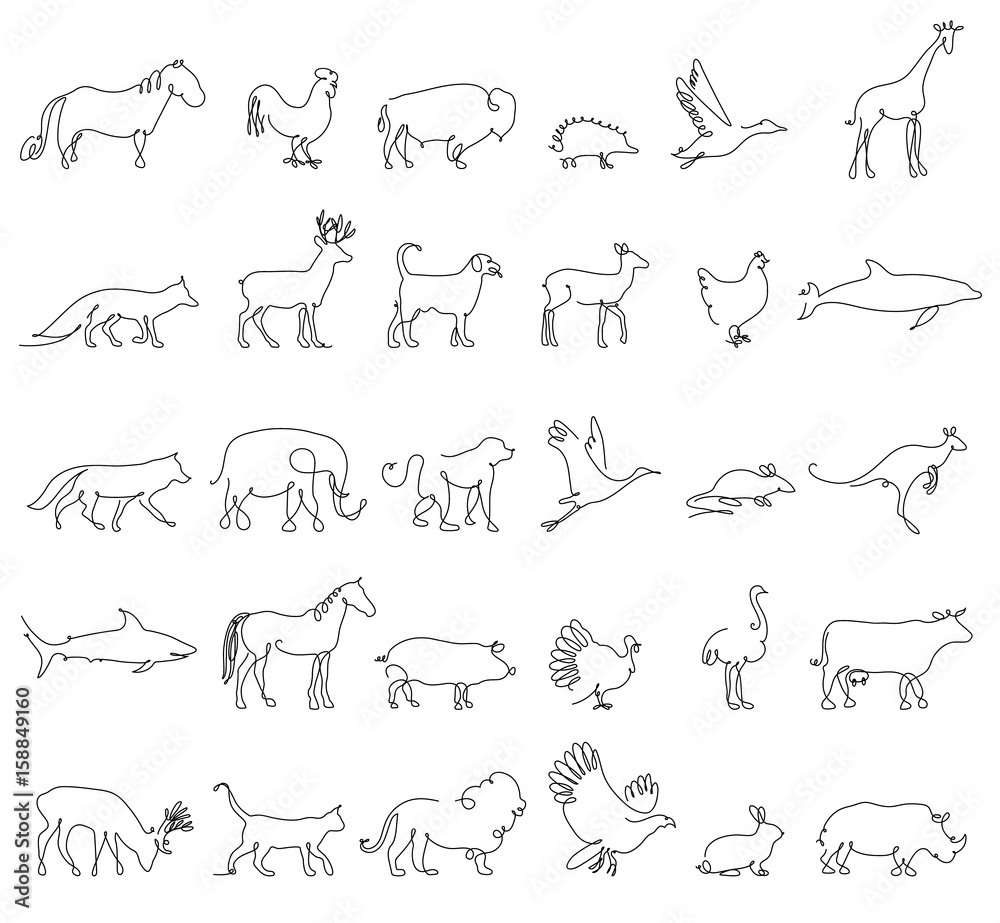 One line animals set, logos. vector stock illustration. Turkey and cow ...