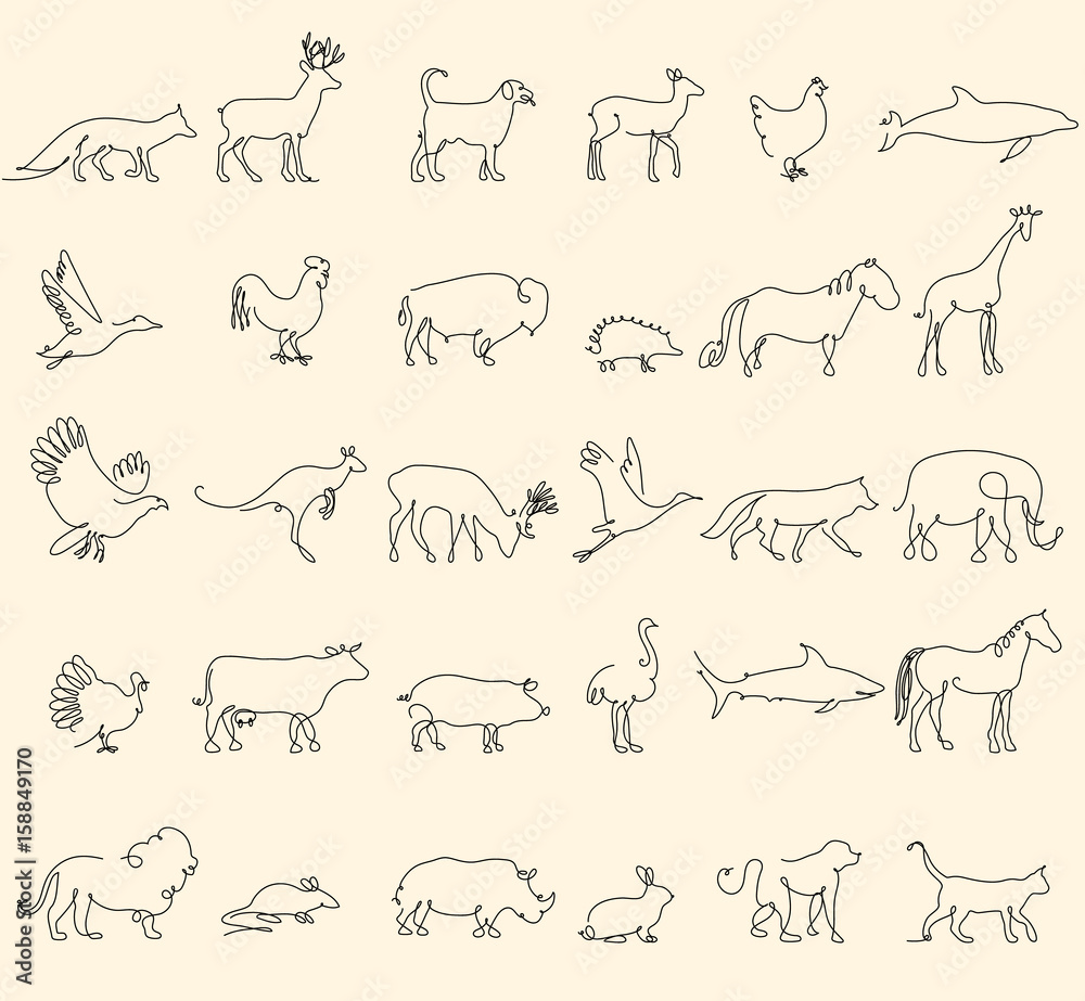 One line animals set, logos. vector stock illustration. Turkey and cow ...