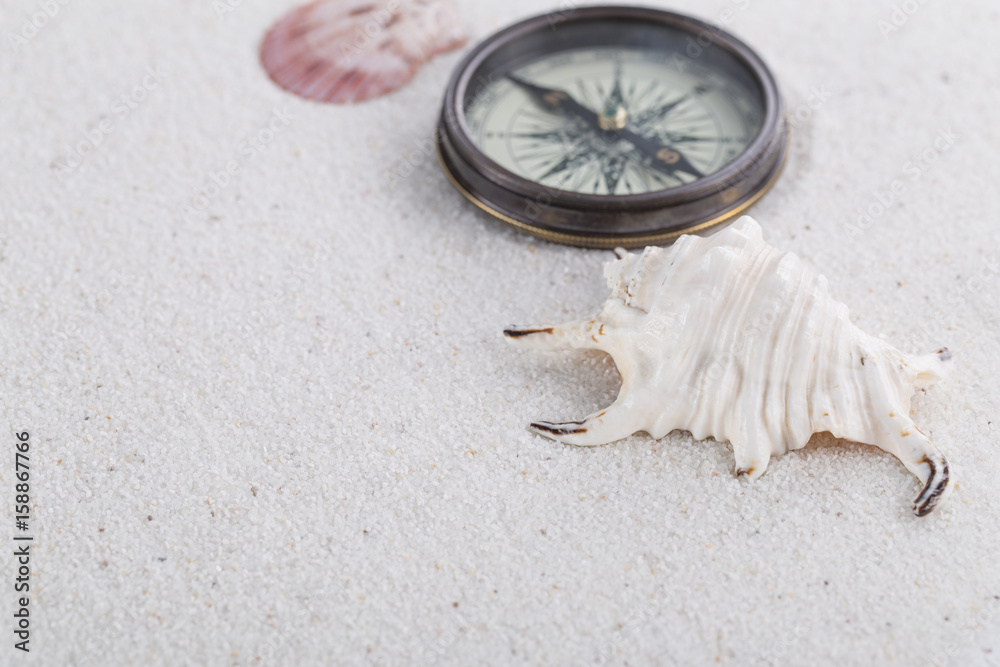 Adventure decoration with compass, shell and conch on the white sand ...