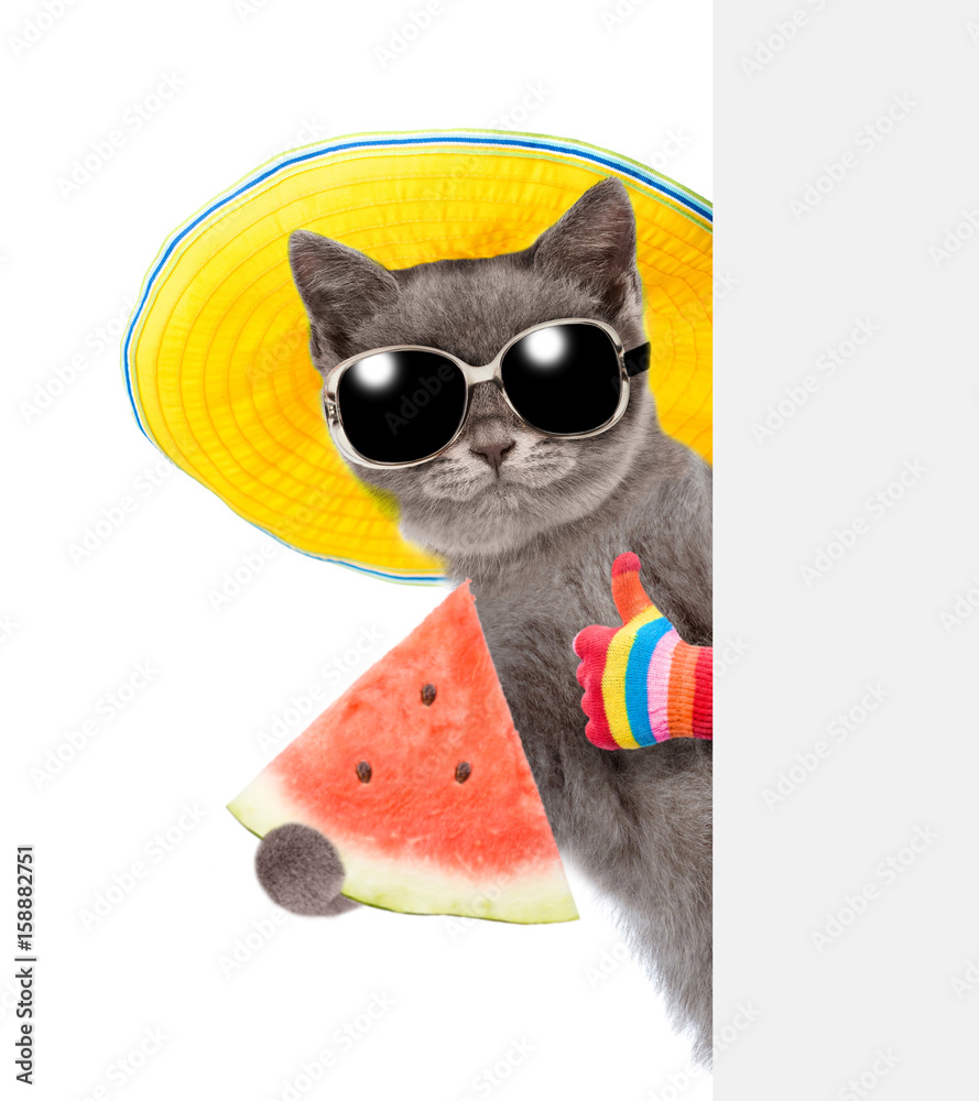 Funny Summer Cat With Sunglasses And Hat Peeking Above White Banner And