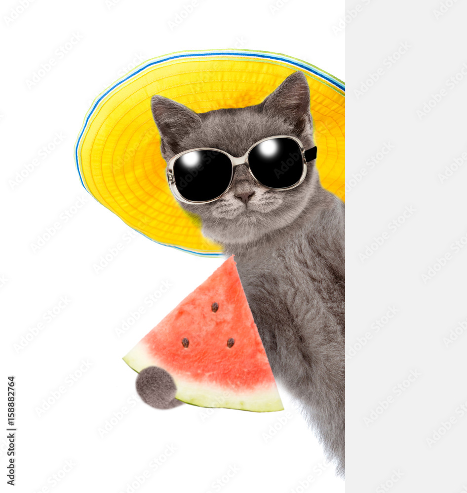 Watermelon Hat Cat