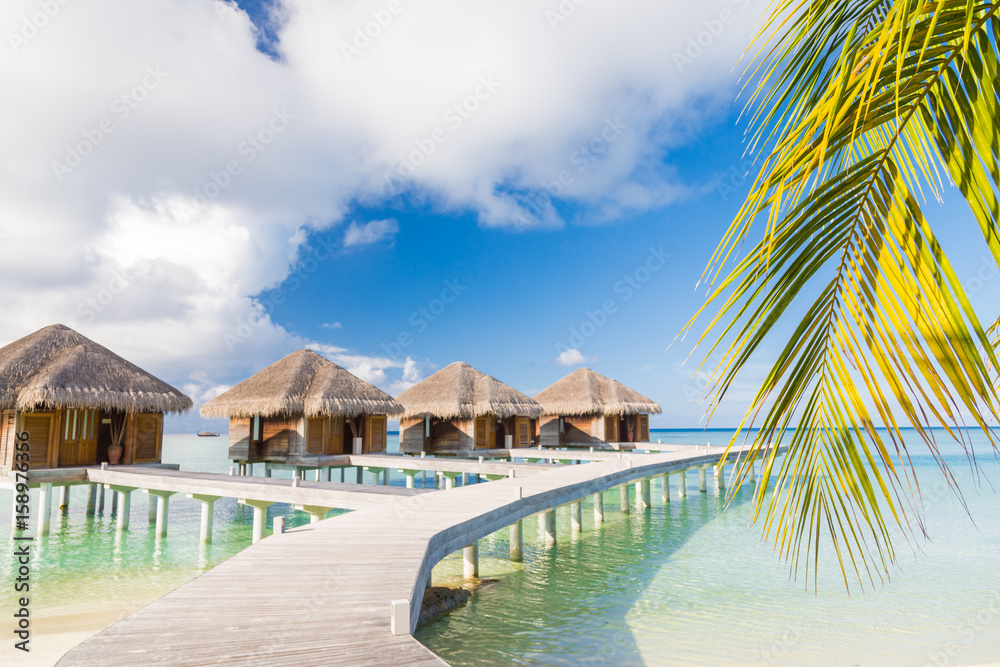Summer holiday and vacation design. Inspirational tropical beach, palm ...