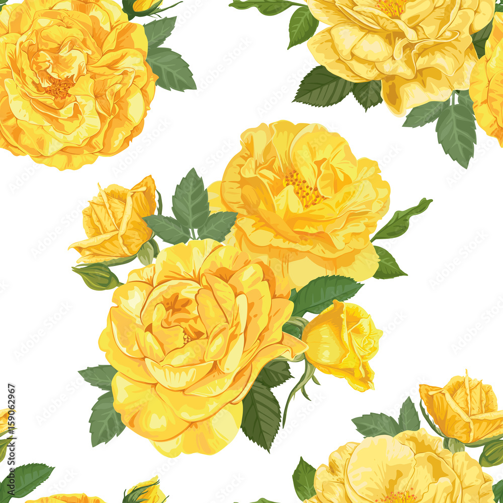 Yellow Rose Pattern