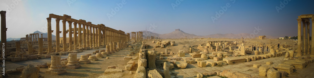 Panorama of Palmyra columns and ancient city. destroyed now, Syria ...