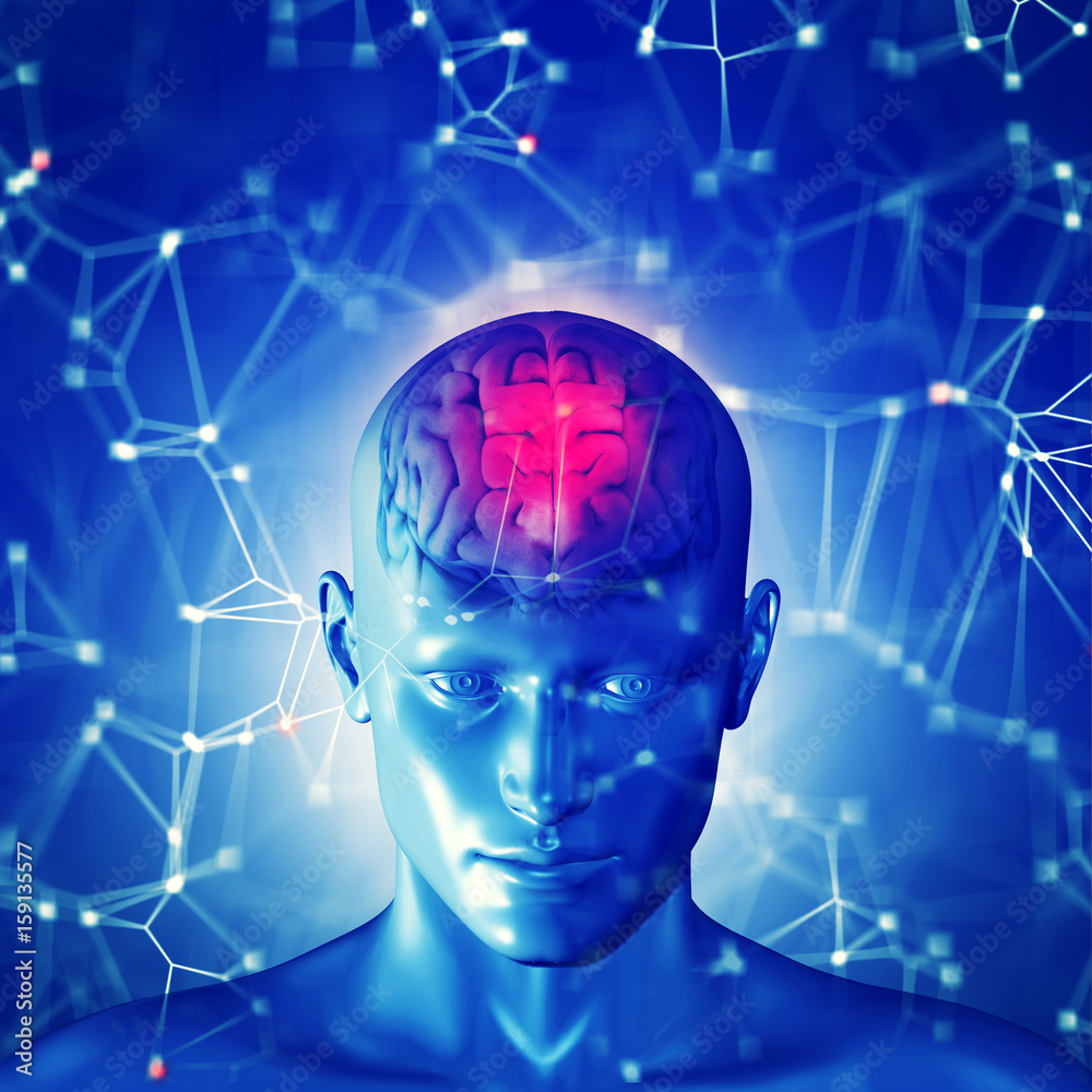 3d rendering of a human head with highlighted brain on technology ...