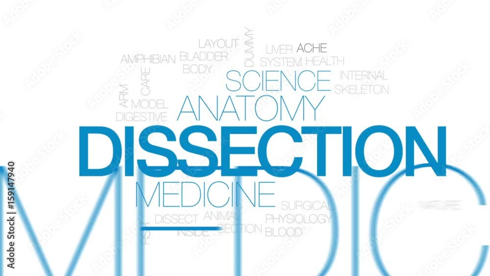 Dissection animated word cloud, text design animation. Kinetic ...