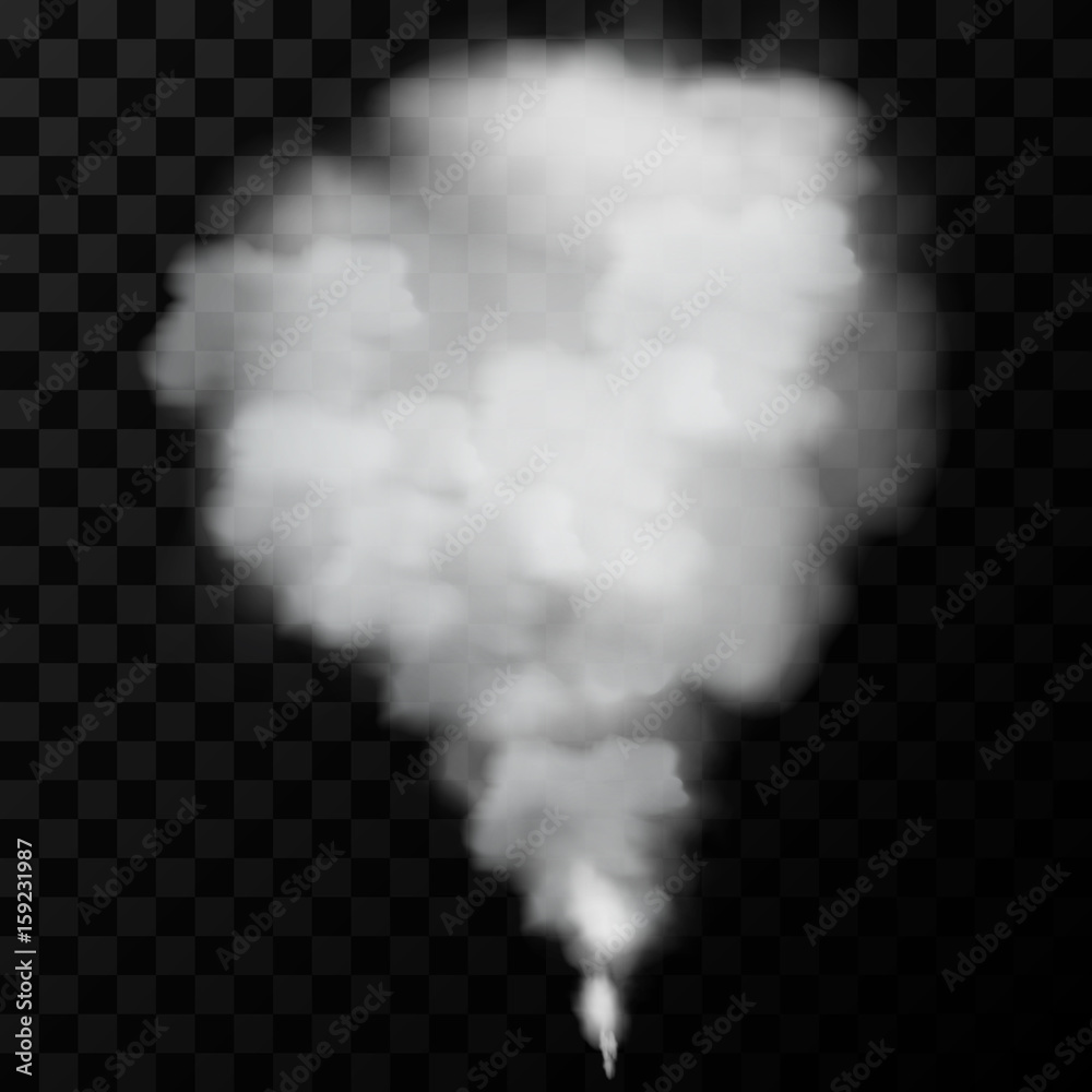 Fog or smoke isolated transparent background. Vector illustration Stock ...