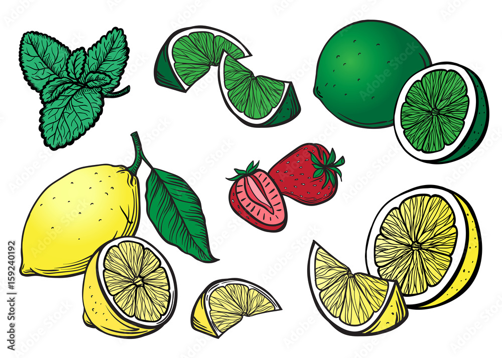 Engrave isolated lemon lime and strawberry hand drawn graphic vector ...