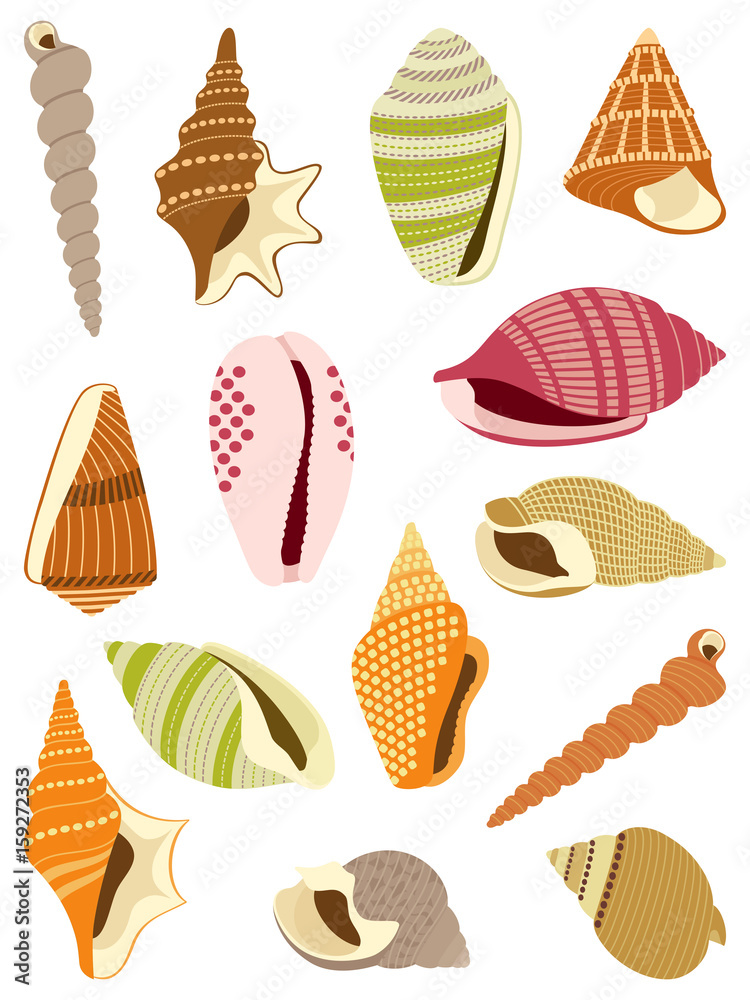 Collection of sea snails shells isolated on white background Stock ...