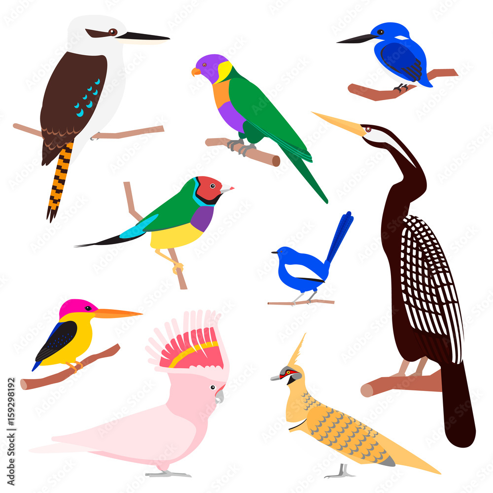 Vector set of australian birds Stock Vector | Adobe Stock