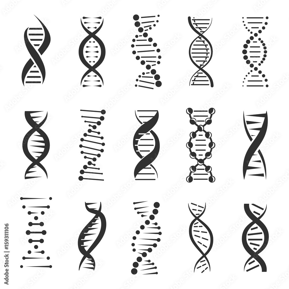 Double DNA helix vector icons Stock Vector | Adobe Stock