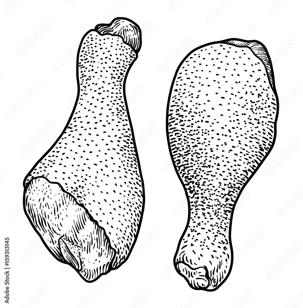Chicken meat illustration, drawing, engraving, ink, line art, vector ...