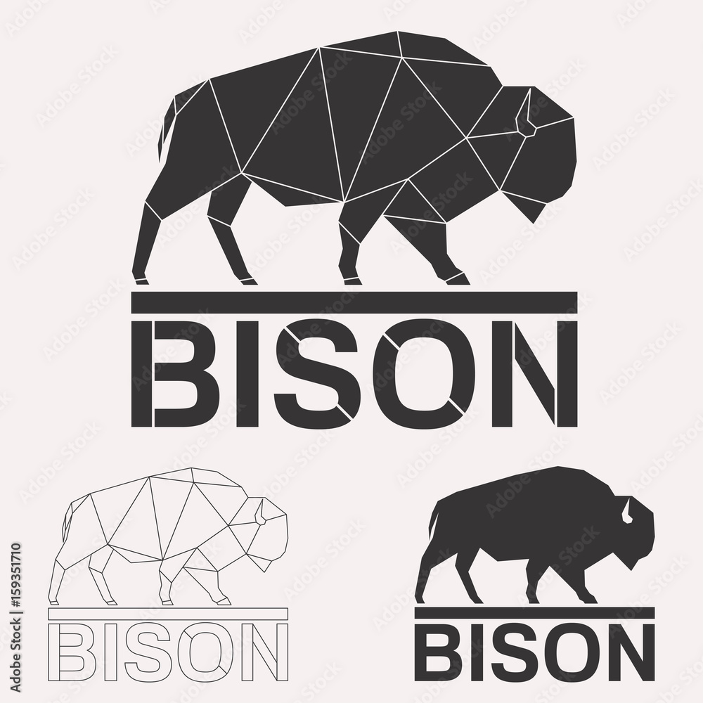 Bison bull cow geometric lines silhouette isolated on white background ...