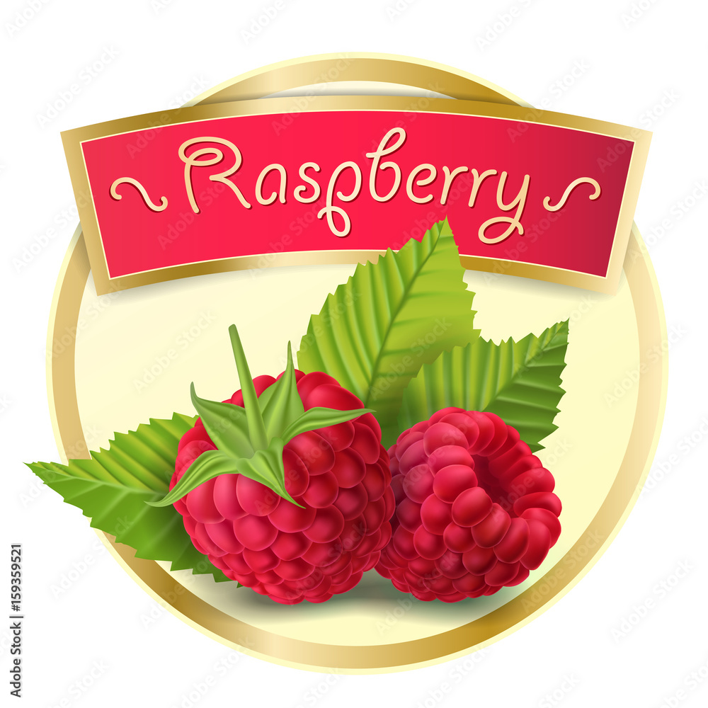 Vector illustration of a round label, a sticker with raspberry berries ...