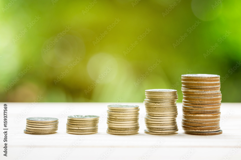 Money coins stack growing graph with sunlight nature background ...