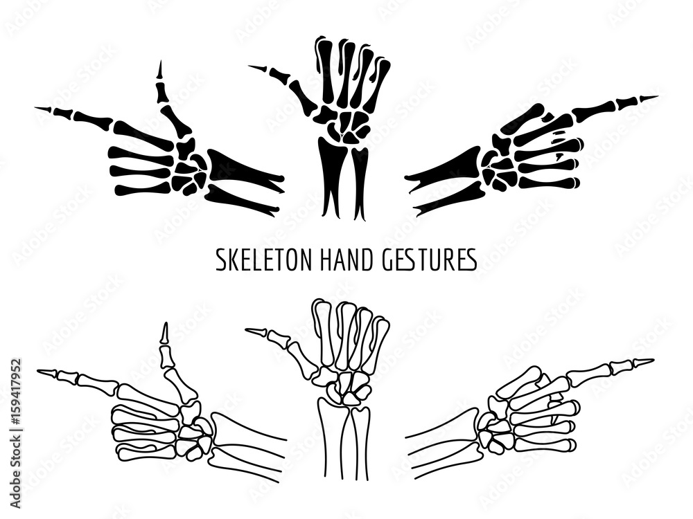 Thin line and silhouettes of skeleton hands gestures on white ...