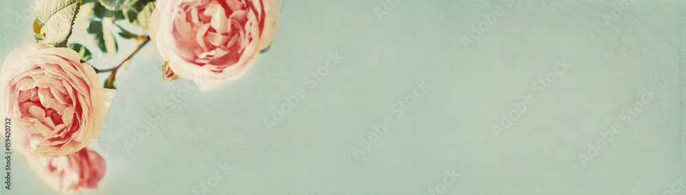 Banner with vintage roses design - web header template - website design ...