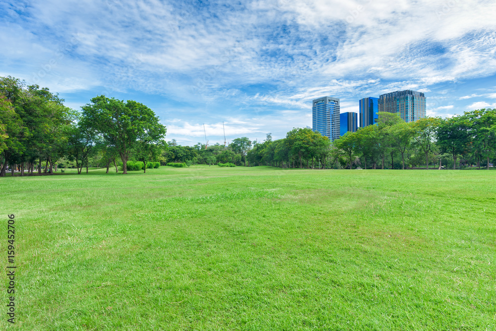 Green grass field in park at city center with blue sky Stock Photo ...