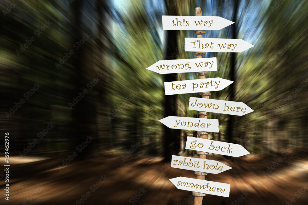 confusing signs in wonderland Stock Illustration | Adobe Stock