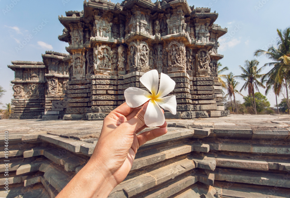 White flower Plumeria as symbol of calmness near the 12th century Hindu ...