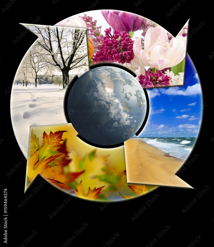 Four Seasons Of The Year Circle
