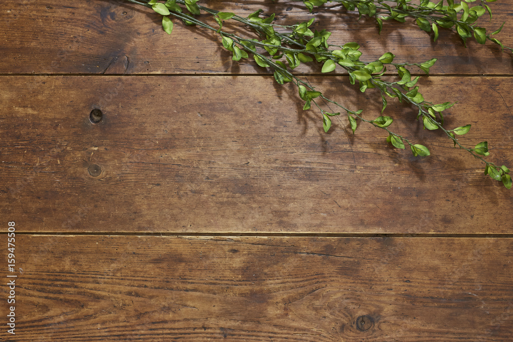 Tree branch on rustic wood background Stock Photo | Adobe Stock