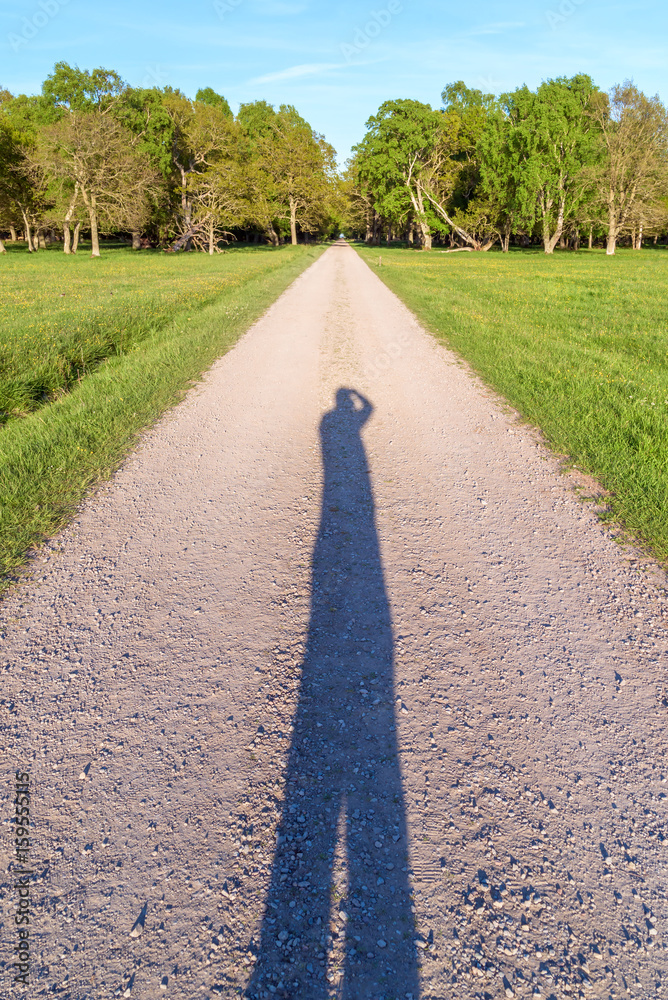 Long shadow of photographer on straight and narrow country road leading ...